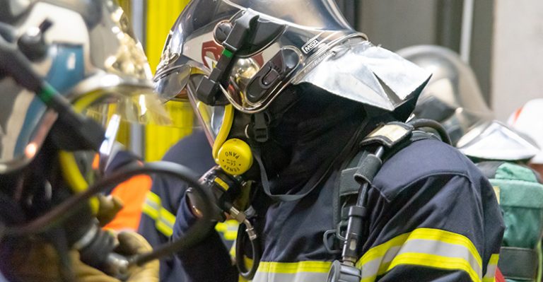 FRS Development | Articles | Watch Manager Role